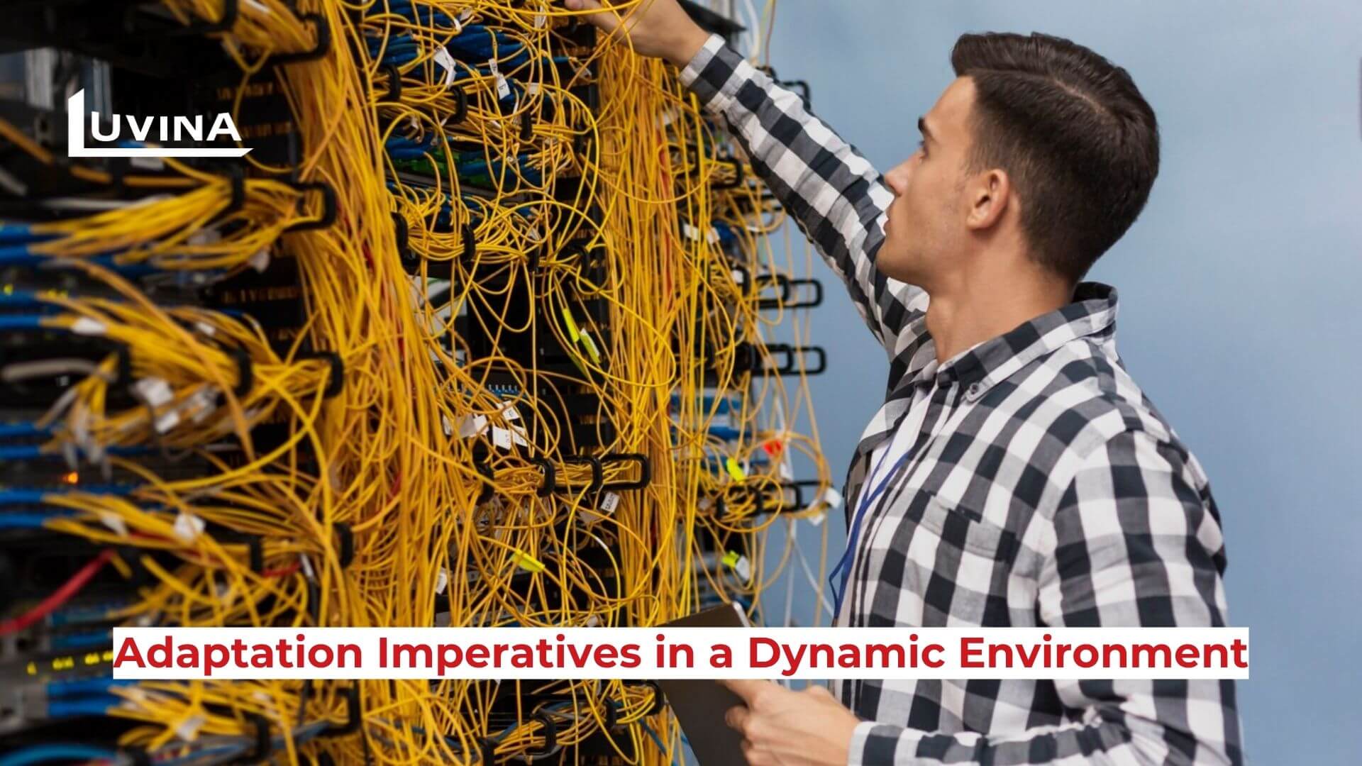 Legacy Software Modernization: Deep Dive into Mainframe