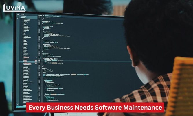 Software Maintenance Guide: Benefits, Types, Costs