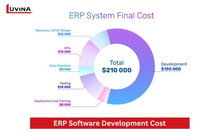 How Much Does Custom ERP Software Development Cost?