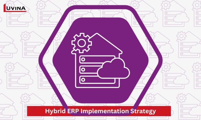 Best ERP Implementation Strategy Approaches for a Successful ERP Project