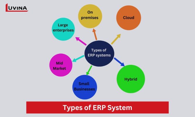 ERP Development Full Guide: All You Need To Know