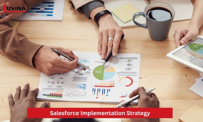 Salesforce Implementation Guide