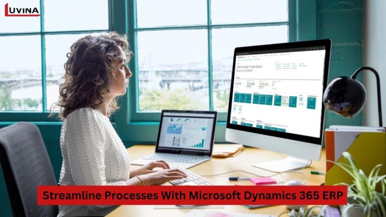 Microsoft Dynamics 365 ERP Development Solution