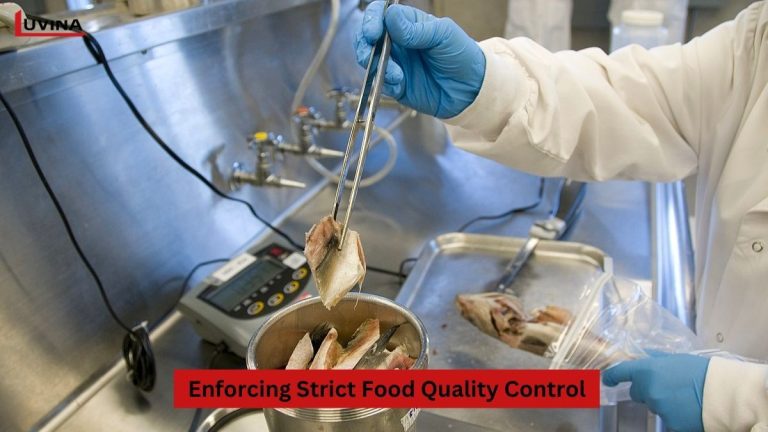 Japanese Quality Standards: All You Need To Know About