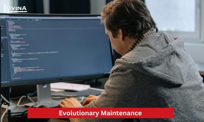 Software Maintenance Guide: Benefits, Types, Costs