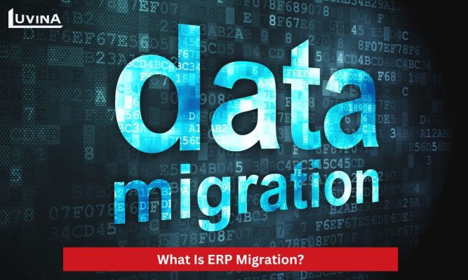 ERP Data Migration: Everything You Need to Know